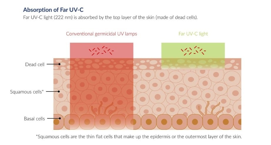 Far-UVC and Eye Safety: Findings from a 36-Month Study